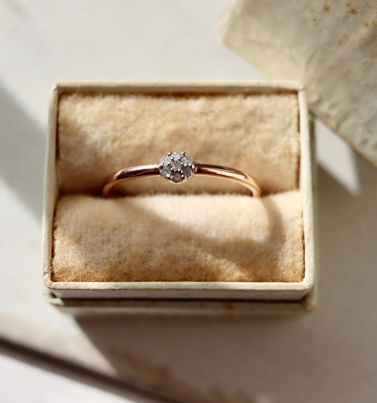 All – Lilly Beck Originals